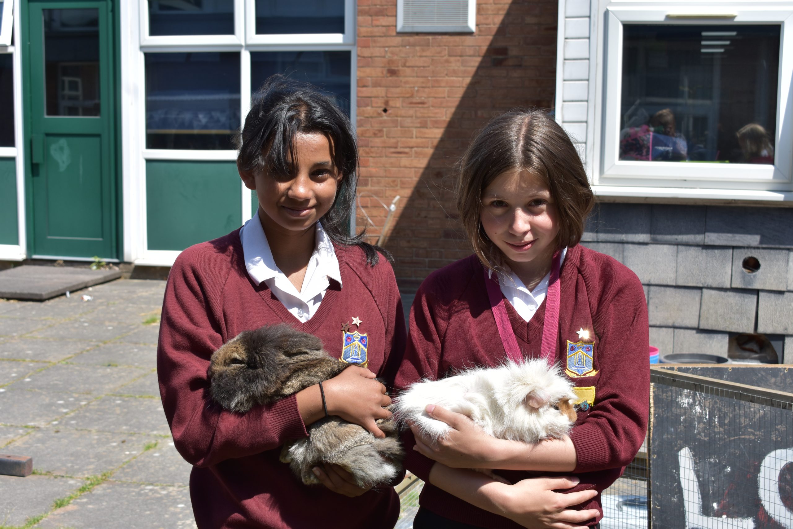 Animal Care - Our Lady's Catholic High School