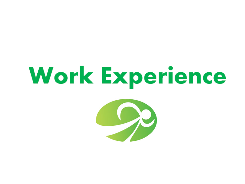 Work Experience - Our Lady's Catholic High School